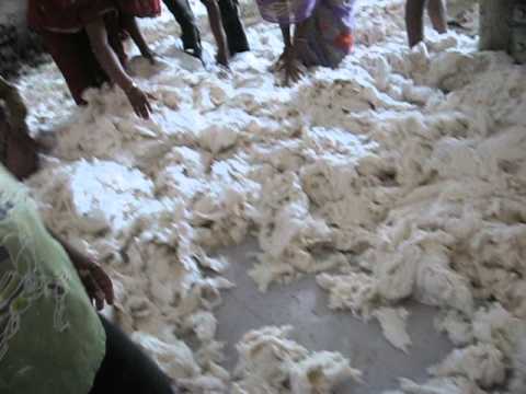 Comber Noil - Cotton Comber Latest Price, Manufacturers & Suppliers