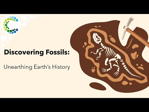 Discovering Fossils: Unearthing Earth's History