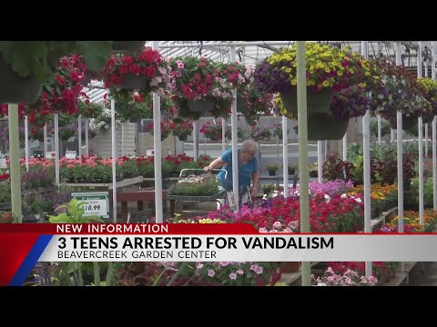 Beavercreek plant lovers gather to restore ransacked garden center