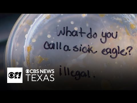 Hispanic customer upset by joke on Starbucks cup she found offensive