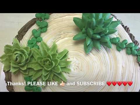 How To Pipe Succulents String Of Pearls