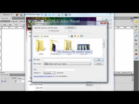 Inserting an HTML5 Video Player