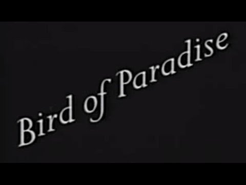 Bird of Paradise (1932)