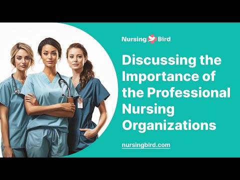 Discussing the Importance of the Professional Nursing Organizations - Essay Example