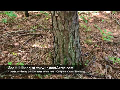 Owner Financed Acreage ON Public Land with Owner Financing! ID#RCF - InstantAcres.com