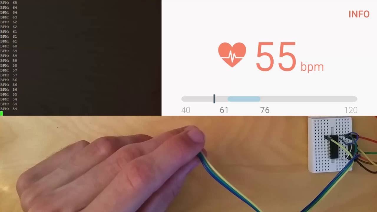 Raspberry Pi Heartbeat / Pulse Sensor