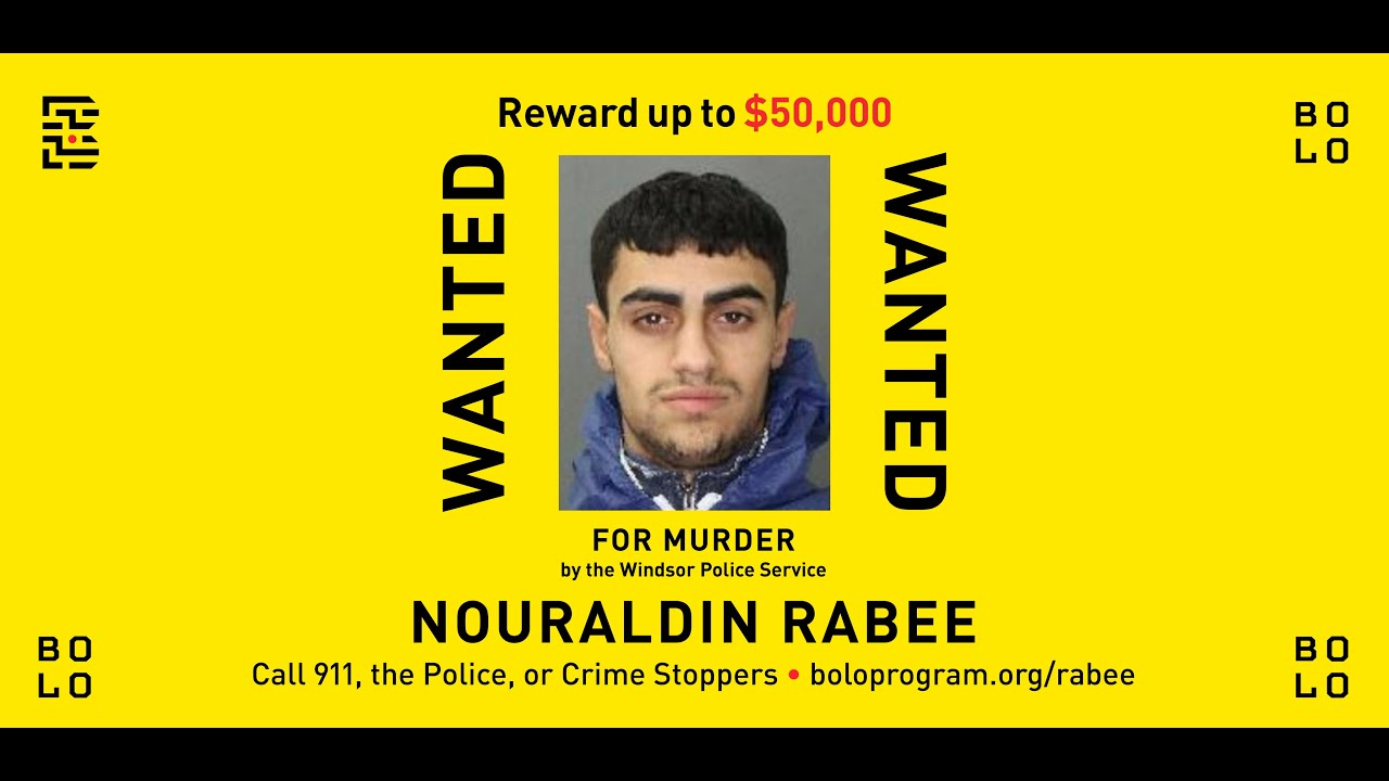 Programme Bolo - Nouvelles