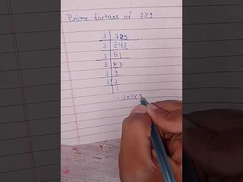 prime factors of 729 #shorts