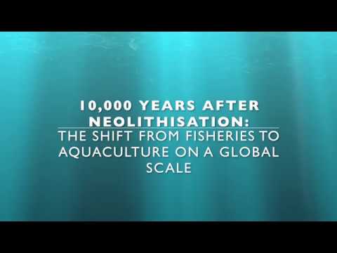 The Shift From Fisheries to Aquaculture on a Global Scale