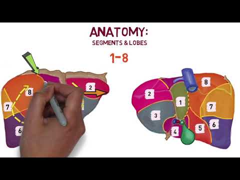 SurgEd learning videos for Surgery Block – The Good Digital Doctor