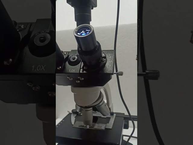 Darkfield Contrast Microscopes - Phase Contrast Trinocular Microscope ...