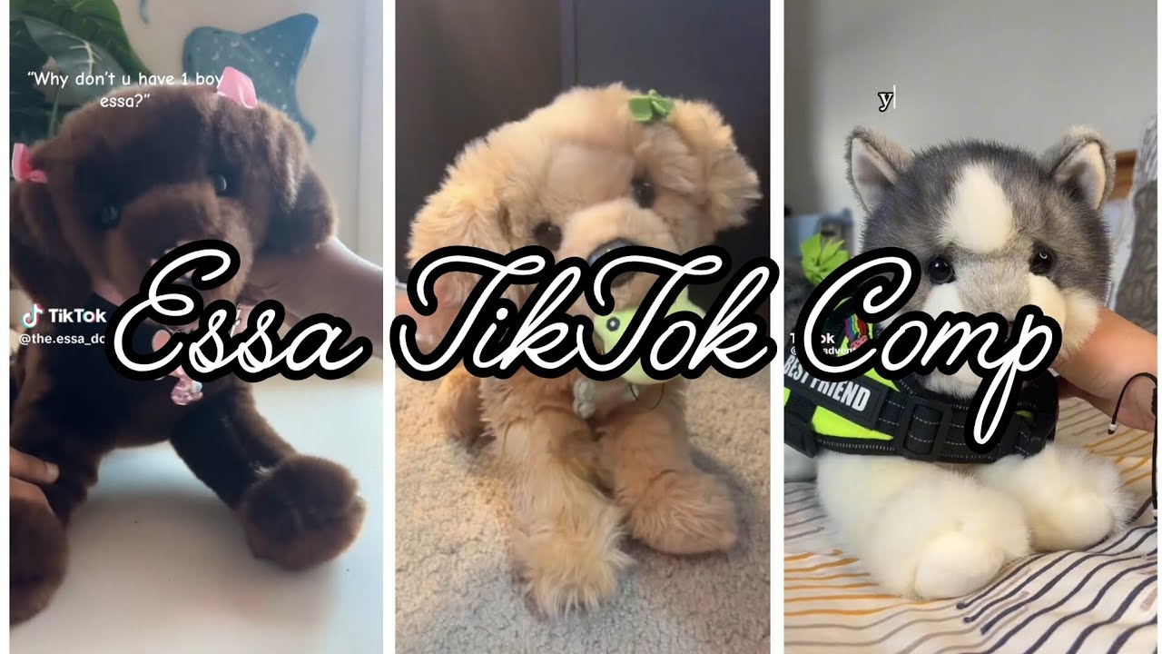 Essa TikTok Comp | none are mine | credits to original owners