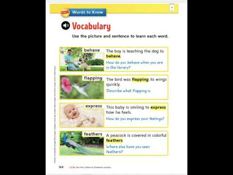 2nd Grade McGraw Hill Wonders U2 W5 Vocab with Poetry words