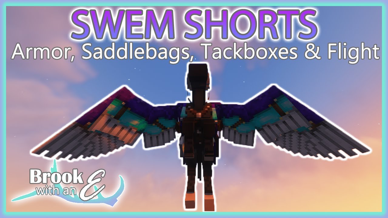 SWEM Shorts- A Simple Guide to SWEM: Armour, Tackboxes, SaddleBags, and Flight!