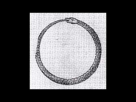 Buds - Words
