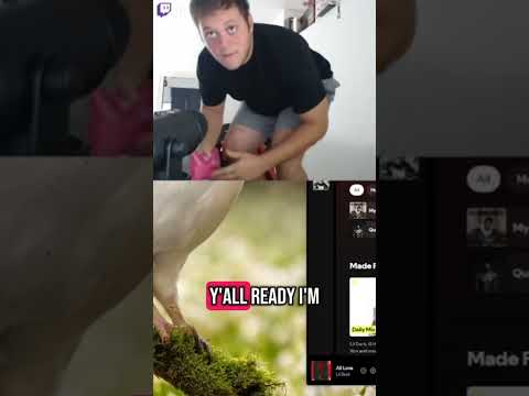 TTV:Kvee504 streamer tries to take out roach