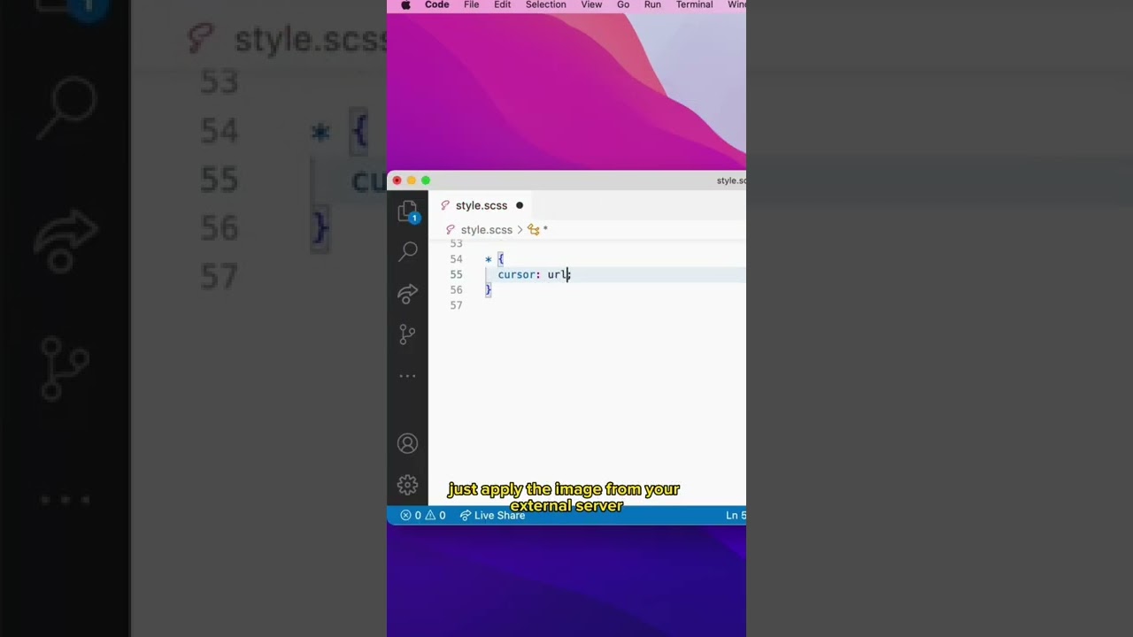 CSS Custom Cursors #webdevelopment #javascript #programming #vscode #softwareengineer #css #coding