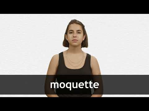 English Translation of “MOQUETTE” | Collins French-English Dictionary
