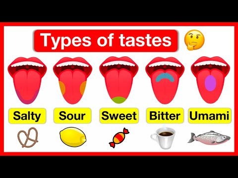 Types of tastes 👅 | Salty, Sour, Sweet, Bitter & Umami | How do we taste? 👅 | Easy learning video