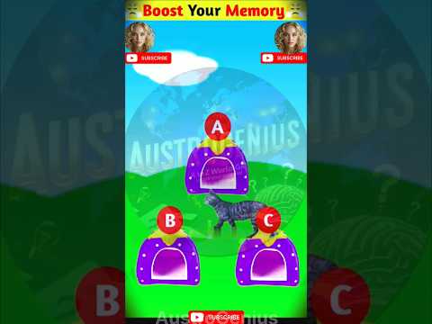 Your????Hard Challenge Expert Users Find The ????House is Child Cute's????Cat A and B and C Find The Home????