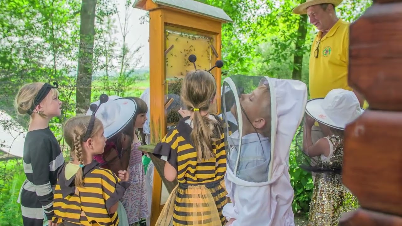 What Does the Ancient Practice of 'Telling the Bees' Really Mean? A Forgotten Tradition Explained!