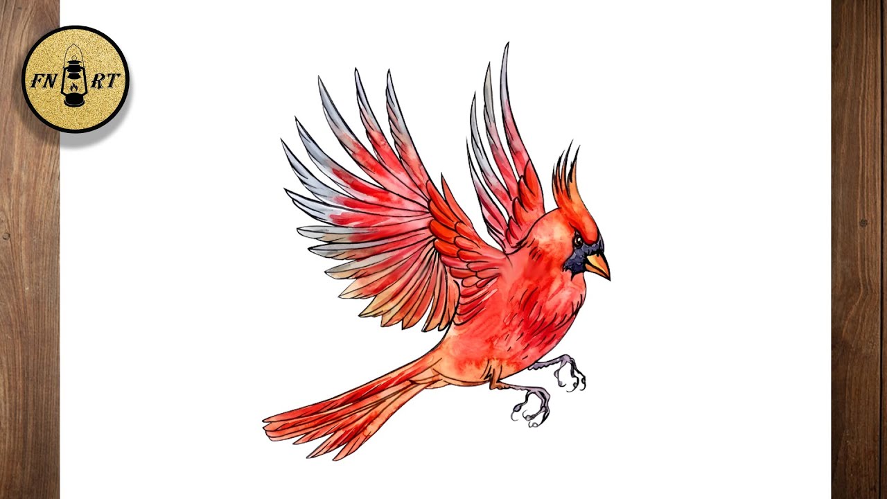 How to draw a cardinal flying easy step by step
