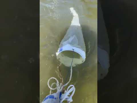 Plankton Nets - Plankton Tow Net Latest Price, Manufacturers & Suppliers