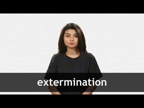EXTERMINATION definition and meaning | Collins English Dictionary