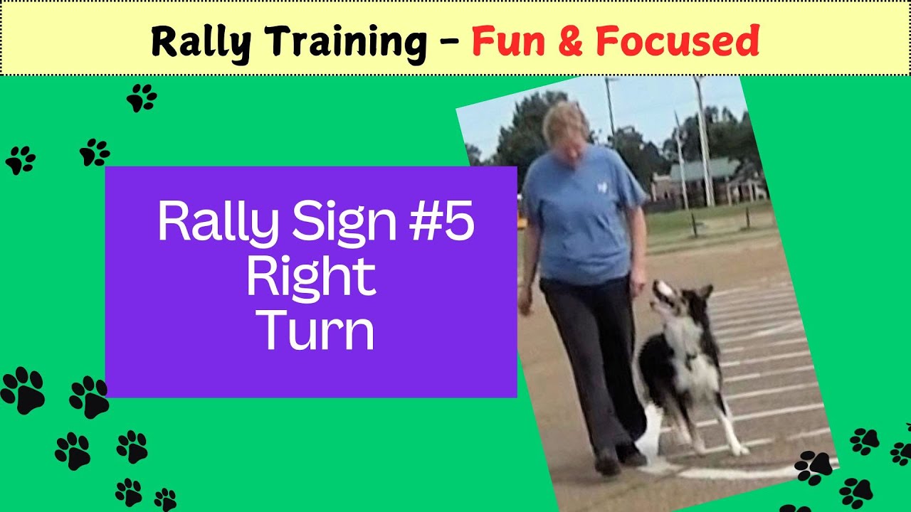 Rally sign #5 Right Turn - Rally Training Fun & Focused - DebbyQuigley.com