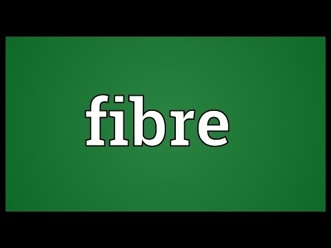 Fibre Meaning