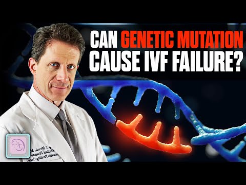 Reasons for IVF implantation failure: New discoveries!