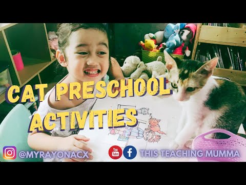 Cat Themed Preschool Activities