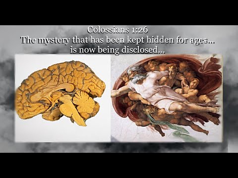 The Deeper Meaning of Joseph and Mary Forgetting Jesus in Jerusalem - The Glory of God Revealed.