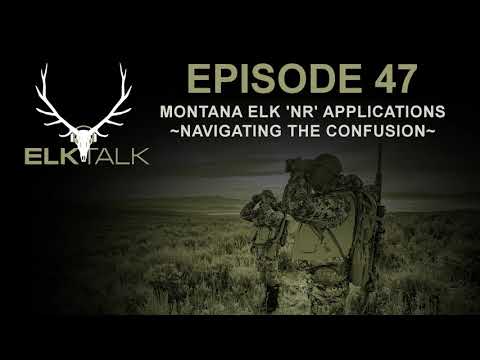 Montana Elk Hunting and Tag Drawing (Elk Talk Podcast EP 47)