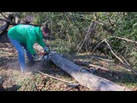 got my 028super back from the stihl dealer giving her the beans letting the 400 rest today