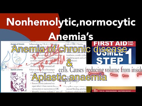 Nonhemolytic, normocytic anemias in Urdu/Hindi in first aid for the USMLE step 1 || Aplastic anemia