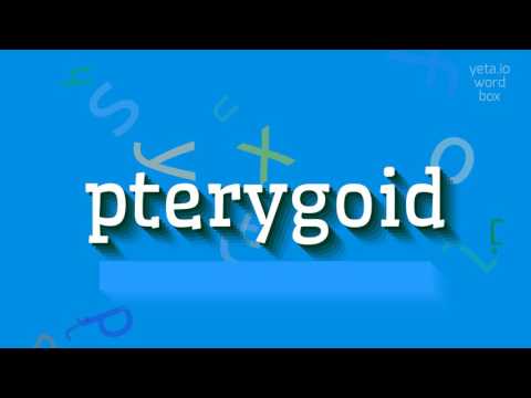 How to say "pterygoid"! (High Quality Voices)