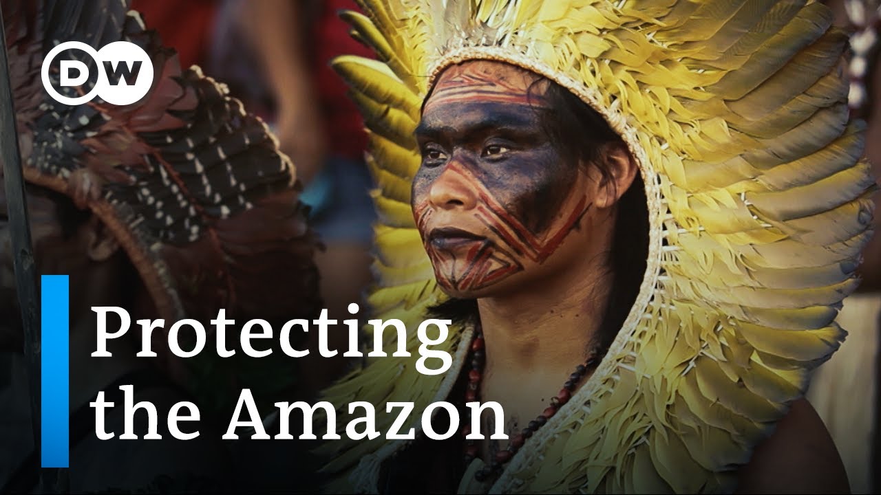 The Amazon in danger - Indigenous peoples and their struggle for the ...