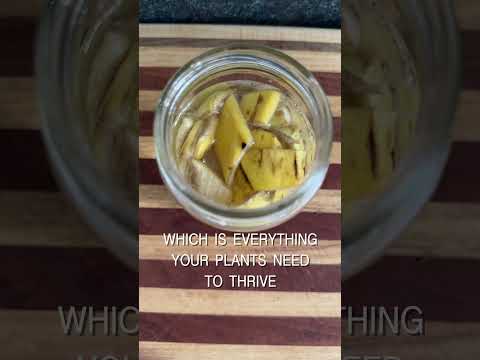 Do not throw out banana peels! #banana #health #plants