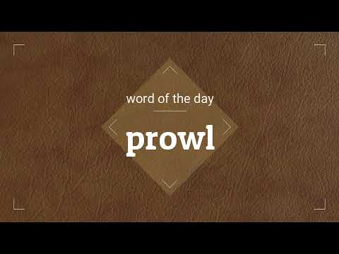 prowl: meaning and usage