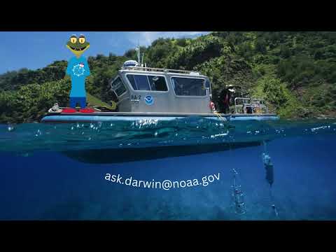 Tell Darwin What You Want to Learn About at AOML: ask.darwin@noaa.gov