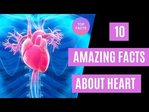 Top 10 Fascinating Facts About Heart.