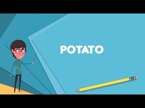 What is Potato? Explain Potato, Define Potato, Meaning of Potato