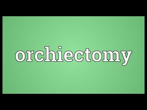 Orchiectomy Meaning