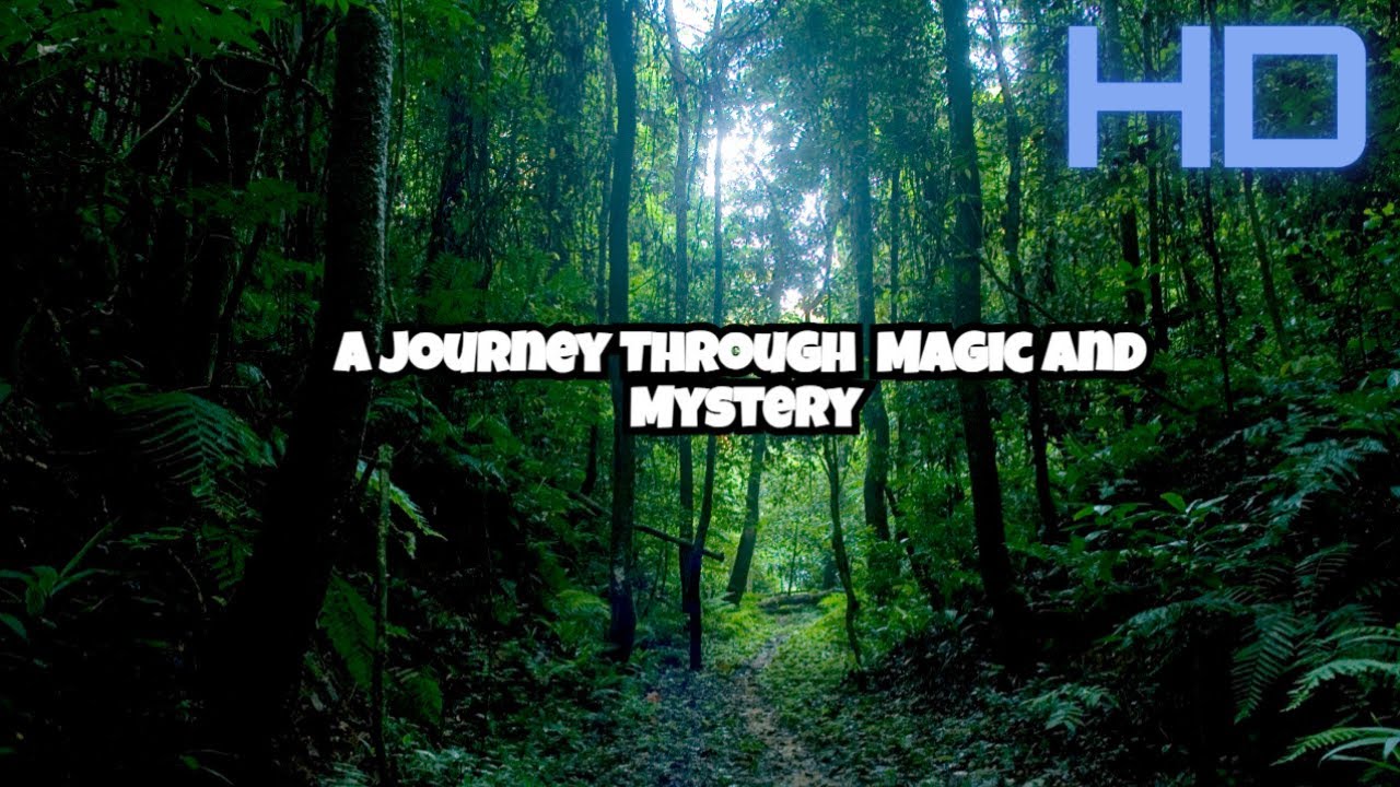 Embark on a Magical Journey: Exploring Enchanted Realms