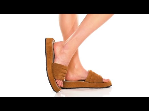 P448 Fergie SKU: 9708340
