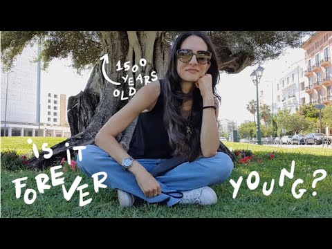 VLOG | 1500 Years Old and Thriving | Ancient Olive Trees in Athens, Greece | Nature in the City