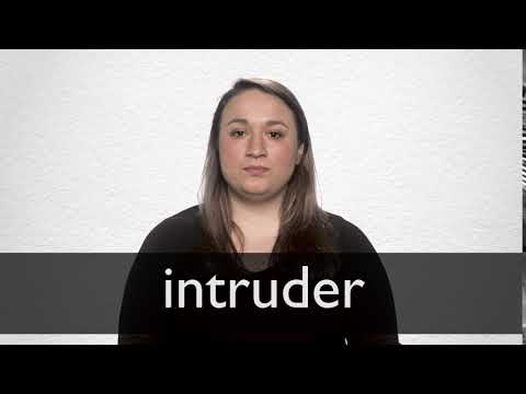 INTRUDER definition and meaning | Collins English Dictionary