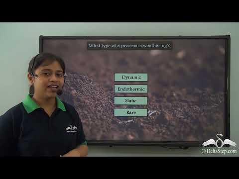 Weathering: Meaning and Types (Biologocal weathering)