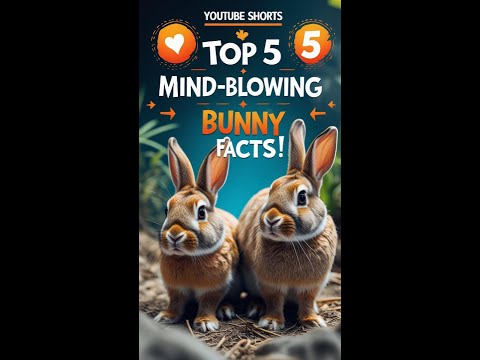 🐰🤯 Top 5 MIND-BLOWING Bunny Facts! 🤯🐰 #rabbit #facts #shorts